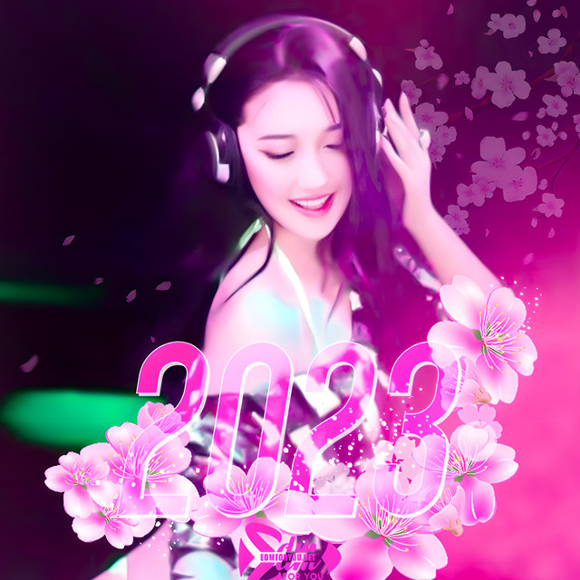 EDM For You: Songs list, genres, analysis and similar artists - Chosic