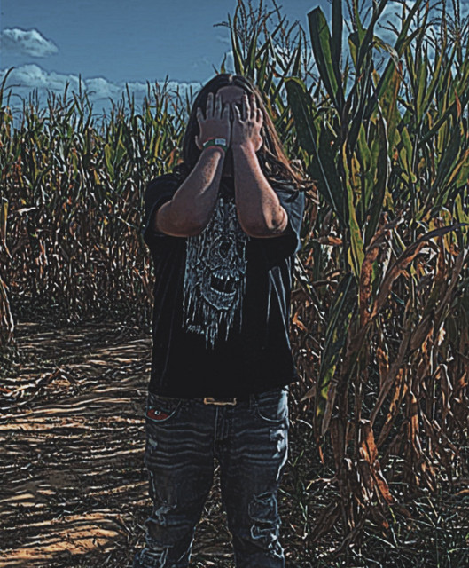 TVK Marcy | Spotify