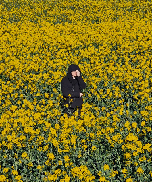 bmo | Spotify