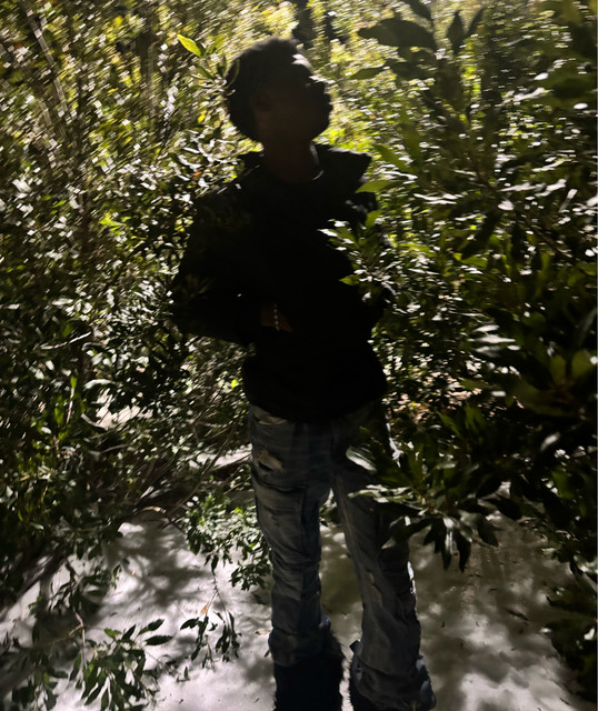 xeno | Spotify