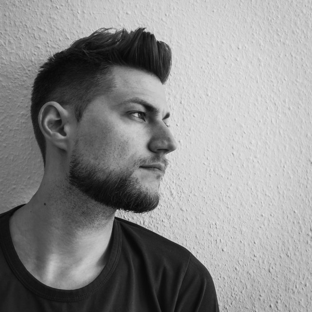 Robird | Spotify