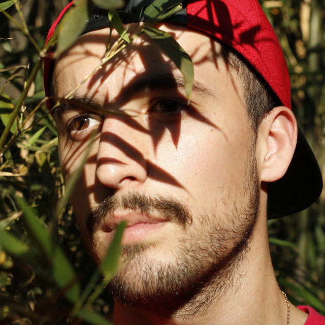 FIDI | Spotify