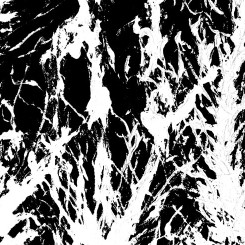 Wretched World | Spotify