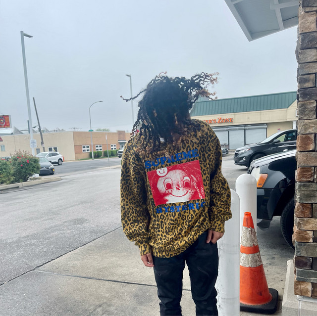 Mike Vicious | Spotify