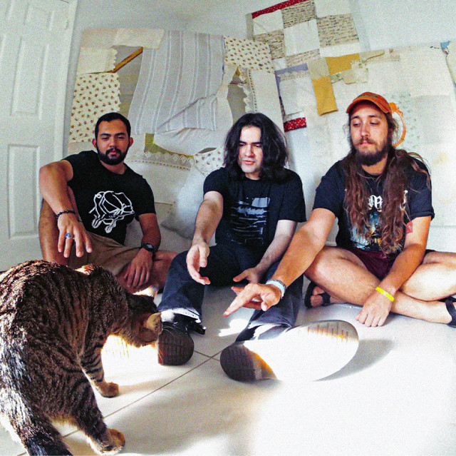 The Creature Cage Concert & Tour History (Updated for 2023) | Concert ...
