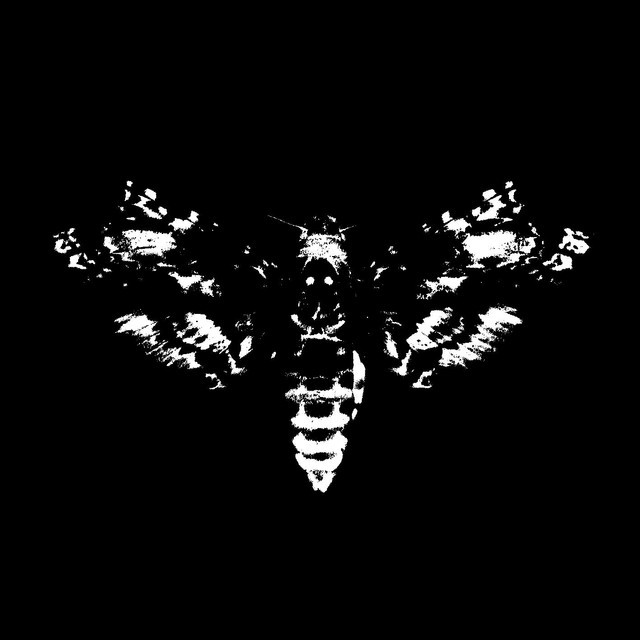 Dead Moon Rising | Spotify
