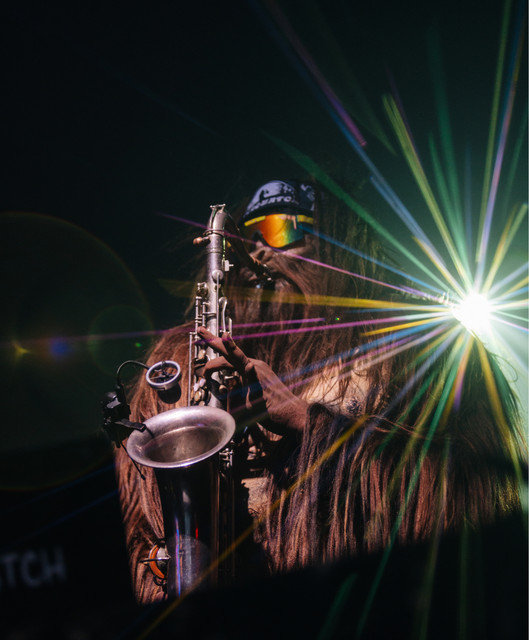 Saxsquatch Concert & Tour History (Updated for 2024 - 2025) | Concert ...