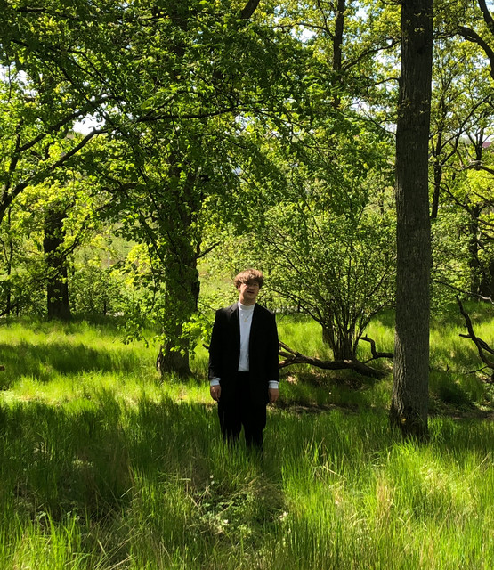 Benjamin Krantz: Songs list, genres, analysis and similar artists - Chosic