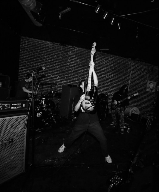 Human Shield | Spotify