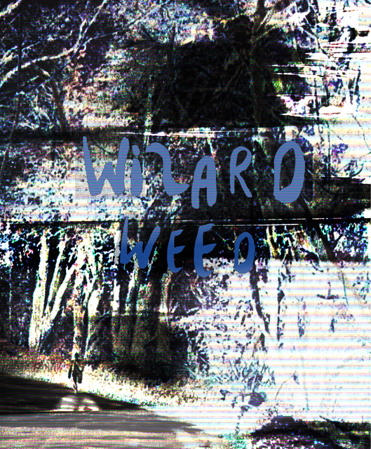 Wizard Weed | Spotify