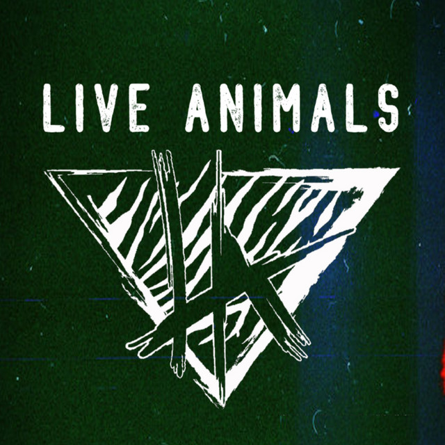 Live Animals Concert & Tour History | Concert Archives