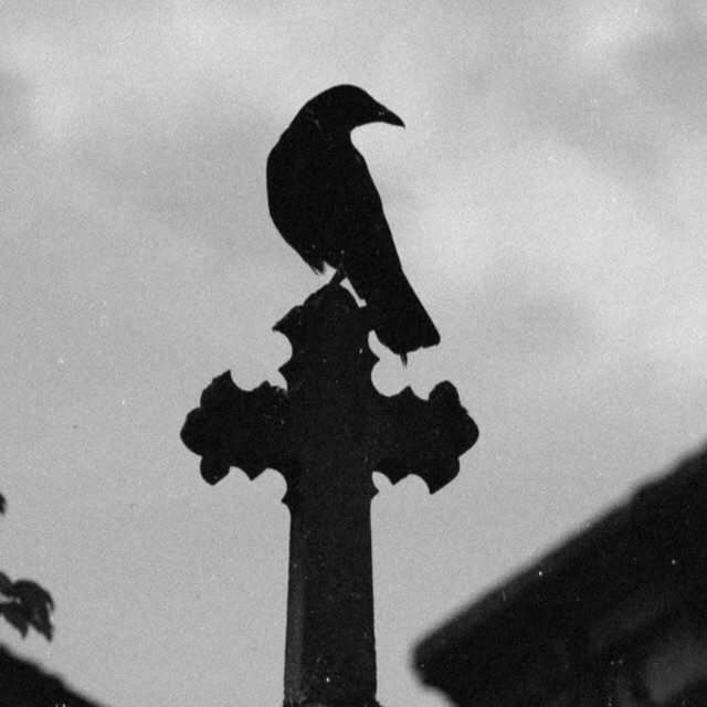 ZXRRY – MOON JUMP - Slowed | Track profile | Dork