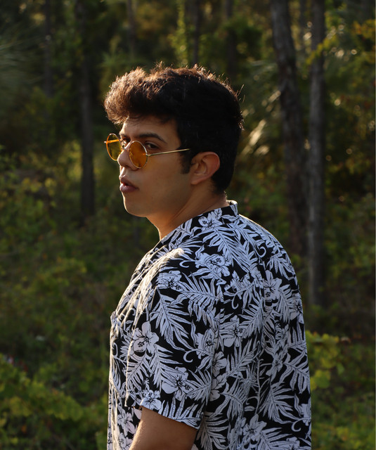 Golden Flora: Songs list, genres, analysis and similar artists - Chosic
