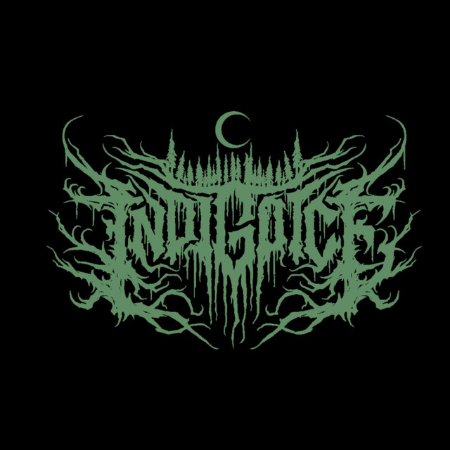 Indigo Ice | Spotify