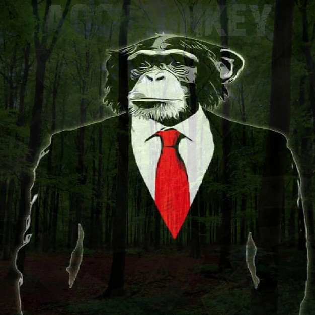 Aoc monkey | Spotify