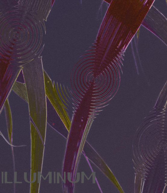 ILLUMINUM | Spotify
