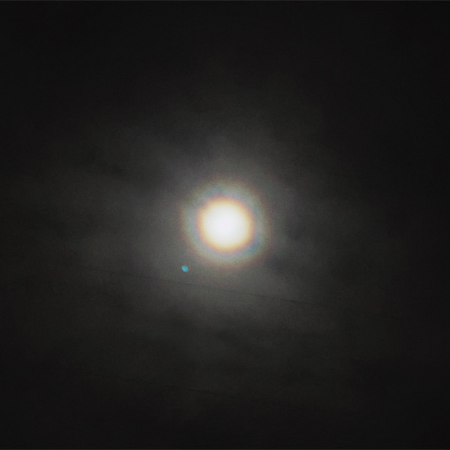 mxlu | Spotify