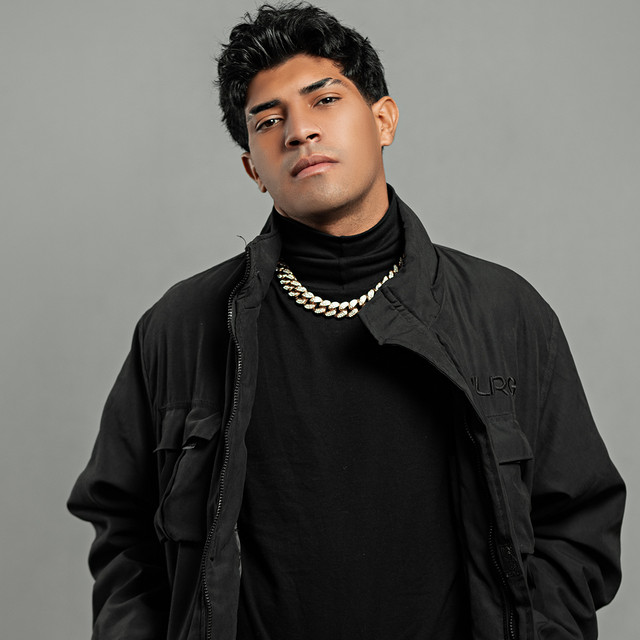 Dj Salim | Spotify