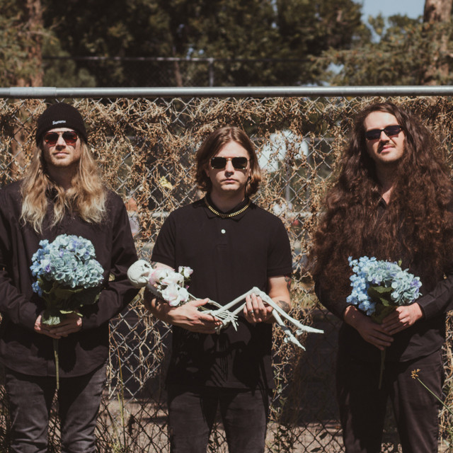 Bloom Boy | Spotify