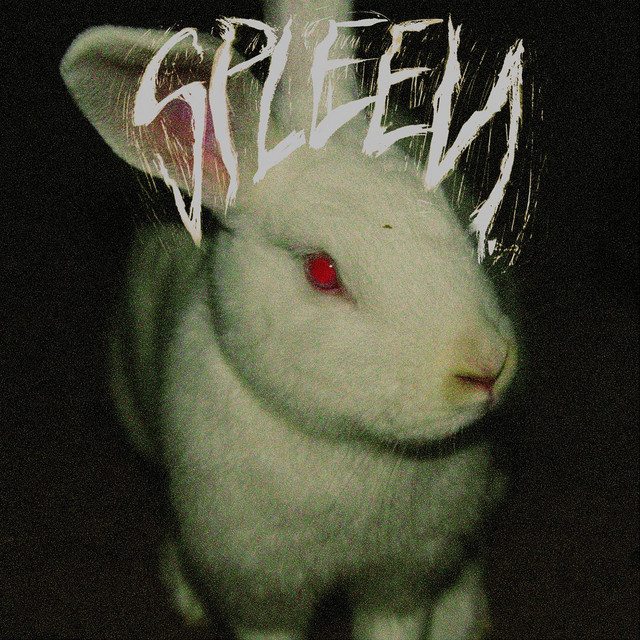Spleen: Songs list, genres, analysis and similar artists - Chosic