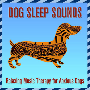 Why Is Classical Music Good For Dogs