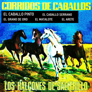 Caballos Prietos