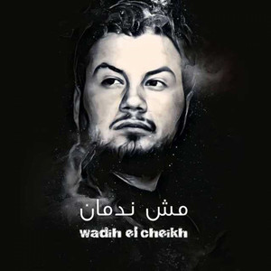 Wadih El Cheikh - Konzerte, Tickets und Tourneen 2024 und 2025 ...