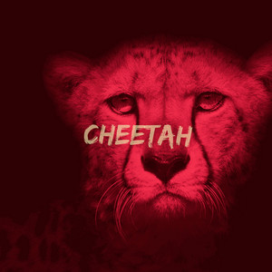 Cheetah Beats Aphex Twin Announces “Cheetah” EP | Music News