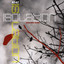 Discographie - Doctor Echo — Festivaly.eu