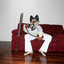 Top Furry Songs - Chosic