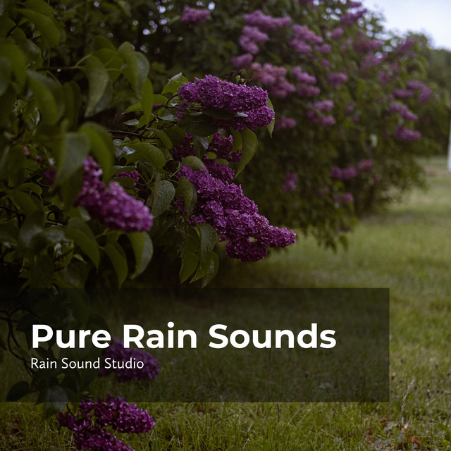 Pure Rain Sounds - Album by Rain Sound Studio | Spotify