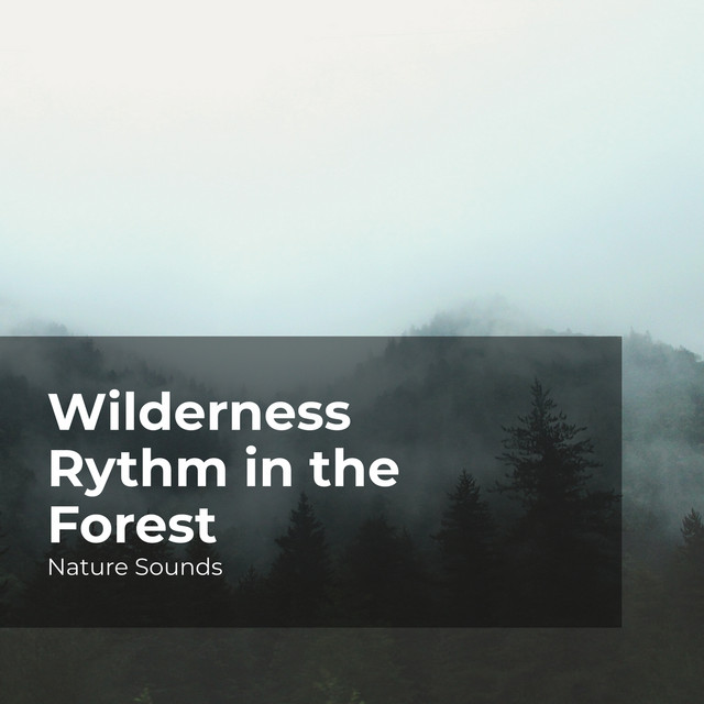 Wilderness Rythm in the Forest - Album by Nature Sounds | Spotify