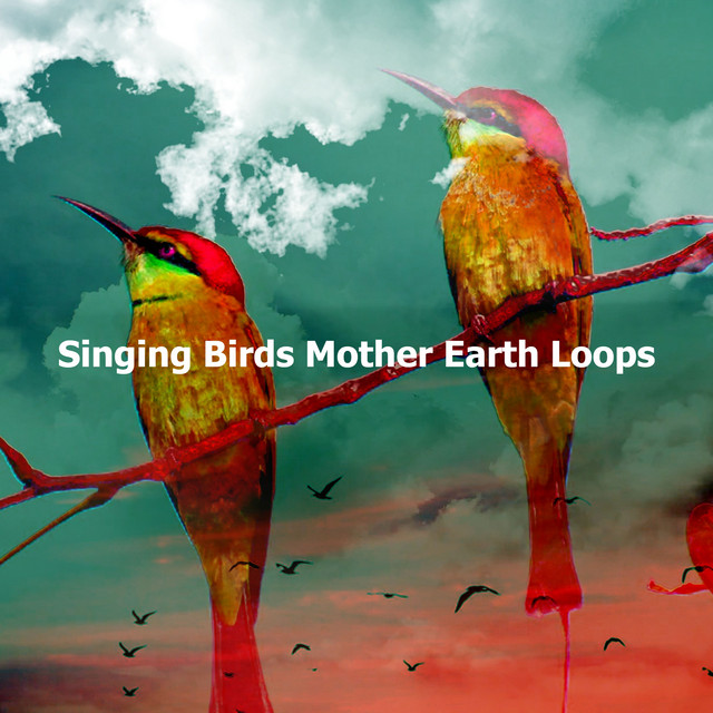Singing Birds Mother Earth Loops - Album by Singing Birds | Spotify