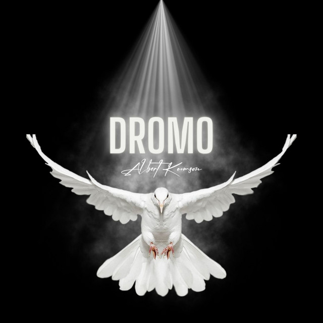 Dromo - song and lyrics by Albert Koomson | Spotify