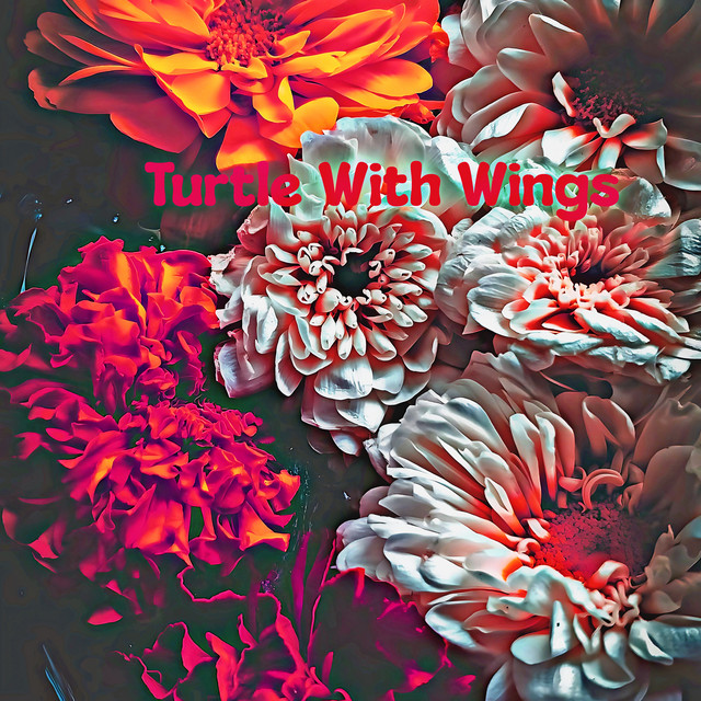 William Duggan | Spotify