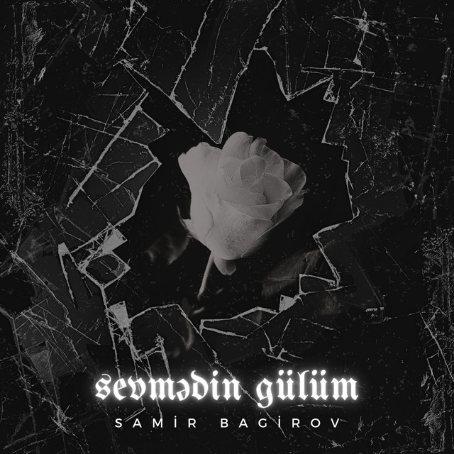 Sevmədin Gülüm - Single by Samir Bagirov | Spotify