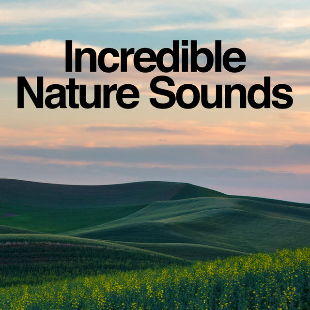 Incredible Nature Sounds ! ! ! ! - Album by Field Recordings | Spotify
