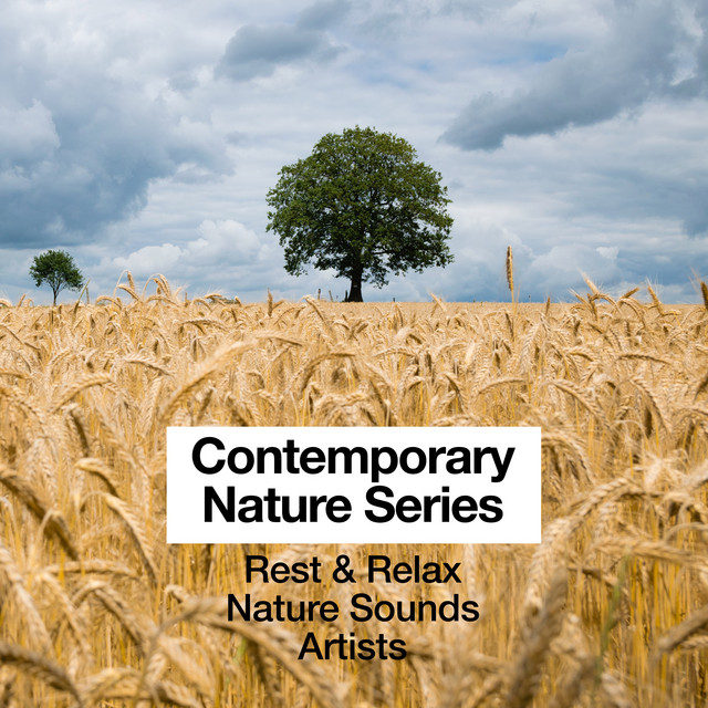 Contemporary Nature Series - Album by Rest & Relax Nature Sounds ...
