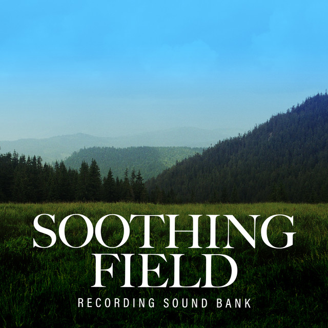 Soothing Field Recording Sound Bank ! ! ! ! - Album by Musica de ...