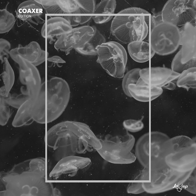 Edition - Album by coaxer | Spotify