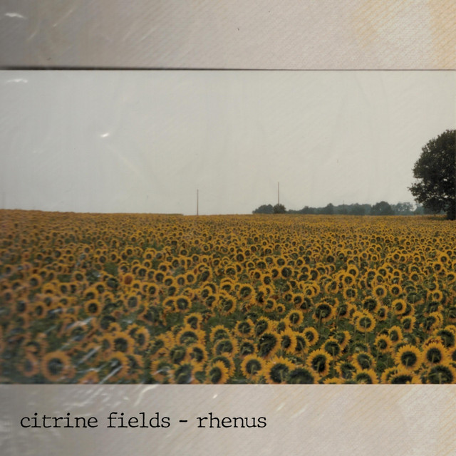Citrine Fields - Album by Rhenus | Spotify