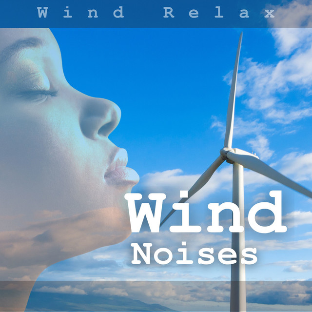 Wind Sounds - song and lyrics by Wind Relax, Sleep Music, Relaxation ...