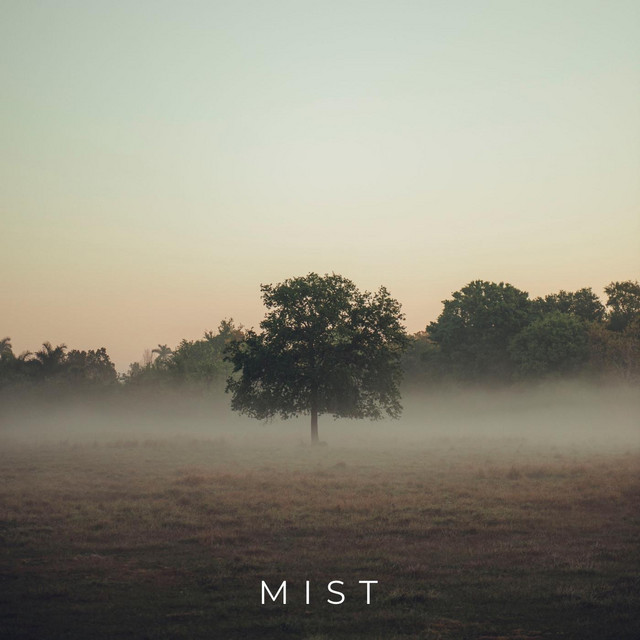 Mist - Single by Morninglightmusic | Spotify