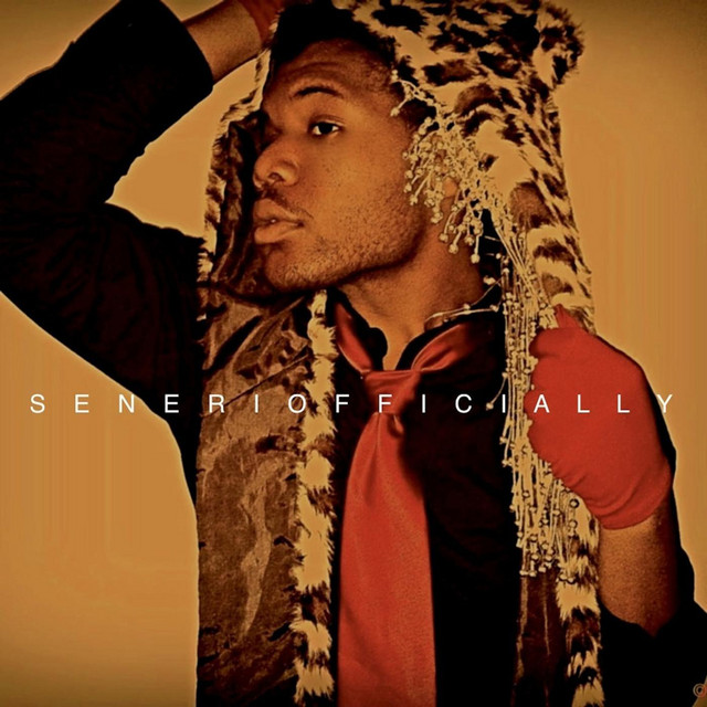 Seneriofficially - Single by Senerio | Spotify