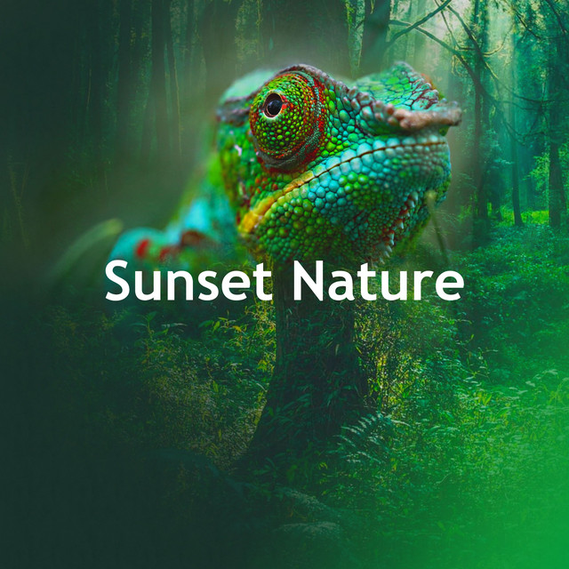 Sunset Nature - Album by Natural Deep Sleep | Spotify
