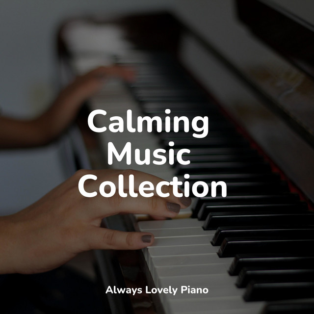 Calming Music Collection - Album by Piano Love Songs | Spotify