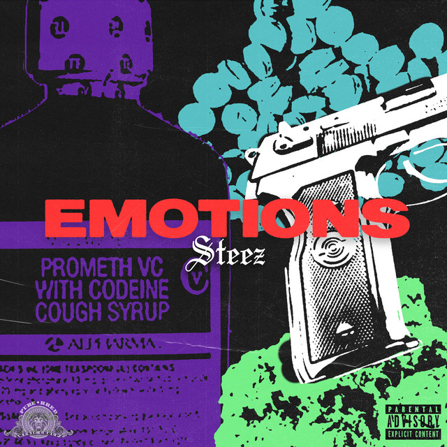 Emotions - Single by Steez | Spotify