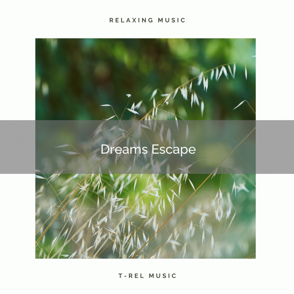 2021 Dreams Escape - Album by Sounds of Nature Noise | Spotify