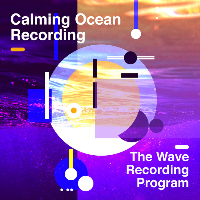 Calming Ocean Recording - Album by The Wave Recording Program | Spotify
