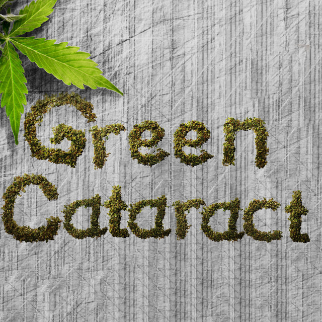 Mellow - Single by Green Cataract | Spotify